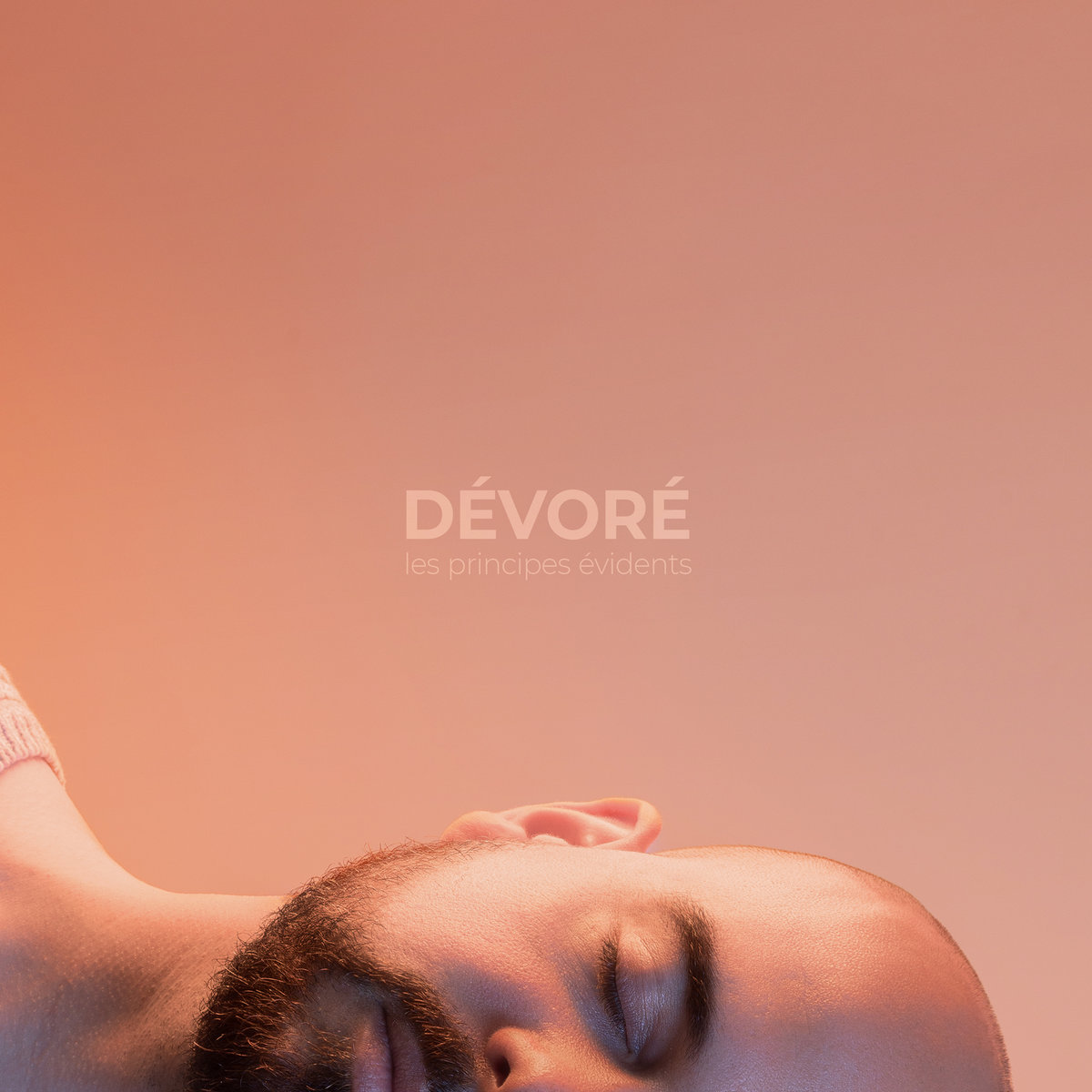 Dévoré - Benjamin Mathieu